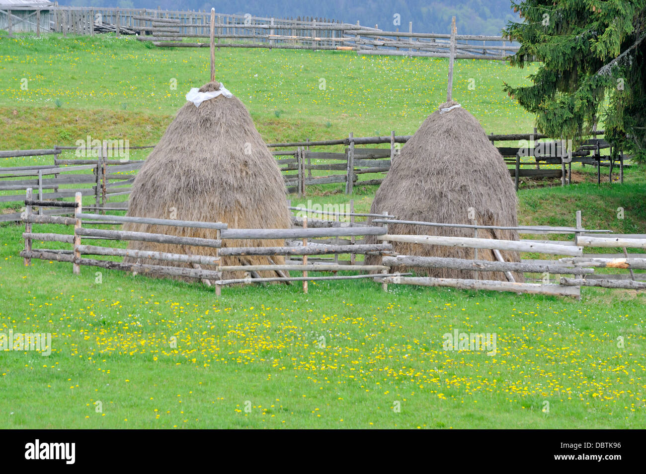 Haystack haystacks romania romanian hi-res stock photography and images ...