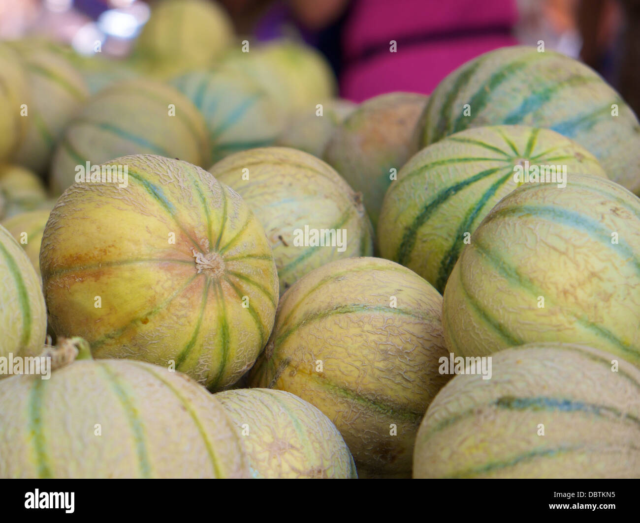 melons on the market Stock Photo - Alamy