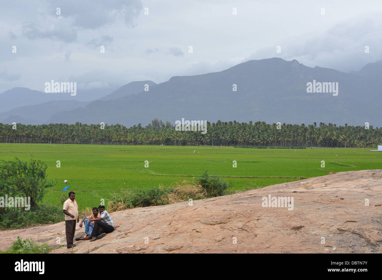 Beautiful countryside of rural south India Stock Photo - Alamy