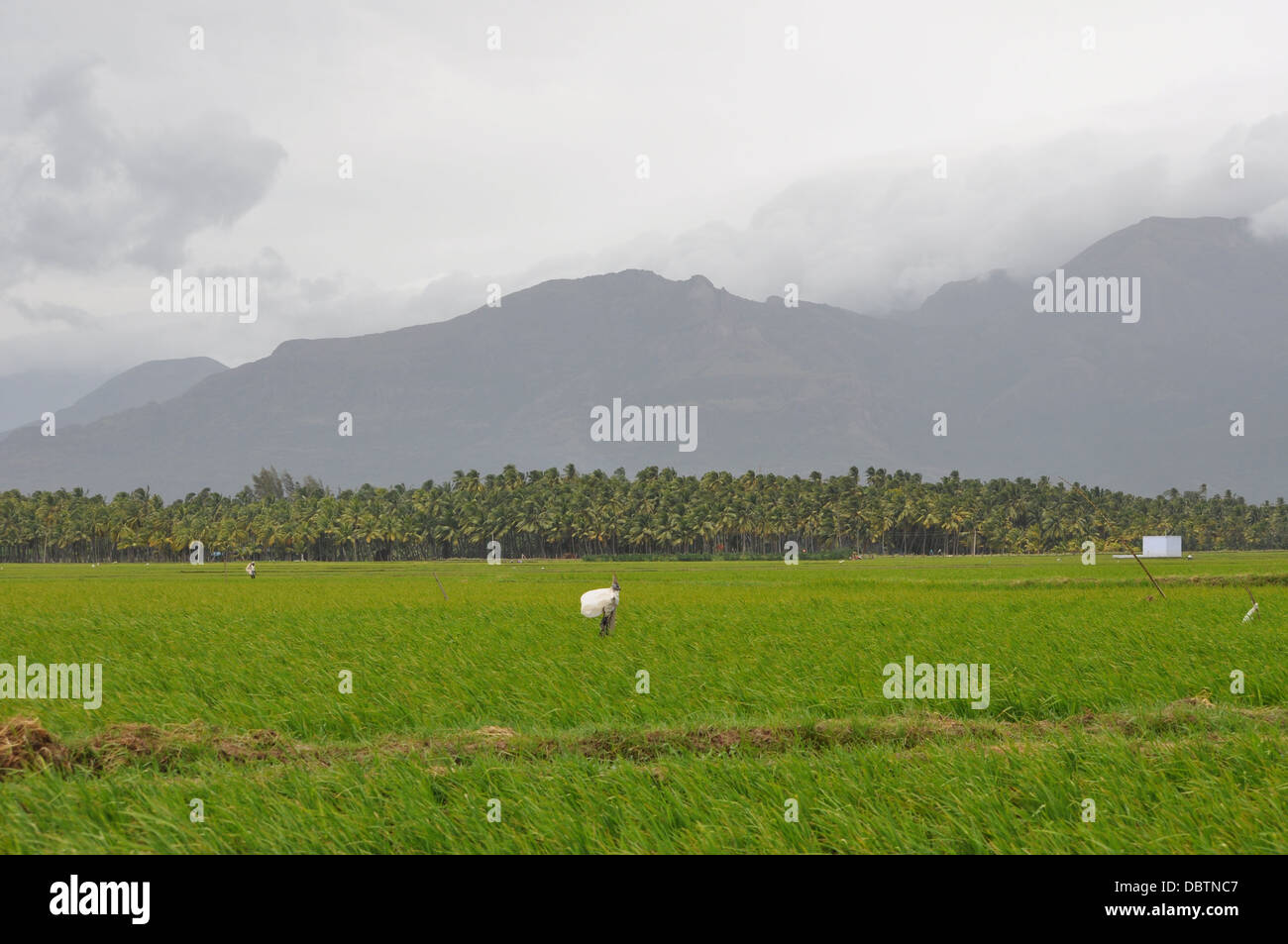 Tenkasi hi-res stock photography and images - Alamy