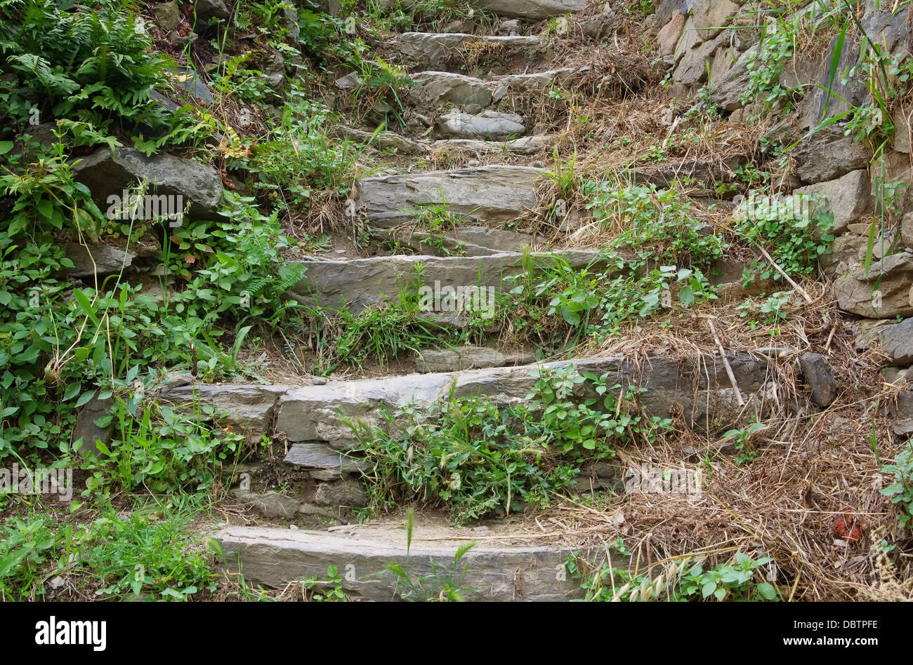 Natursteintreppe - natural stone staircase 02 Stock Photo - Alamy
