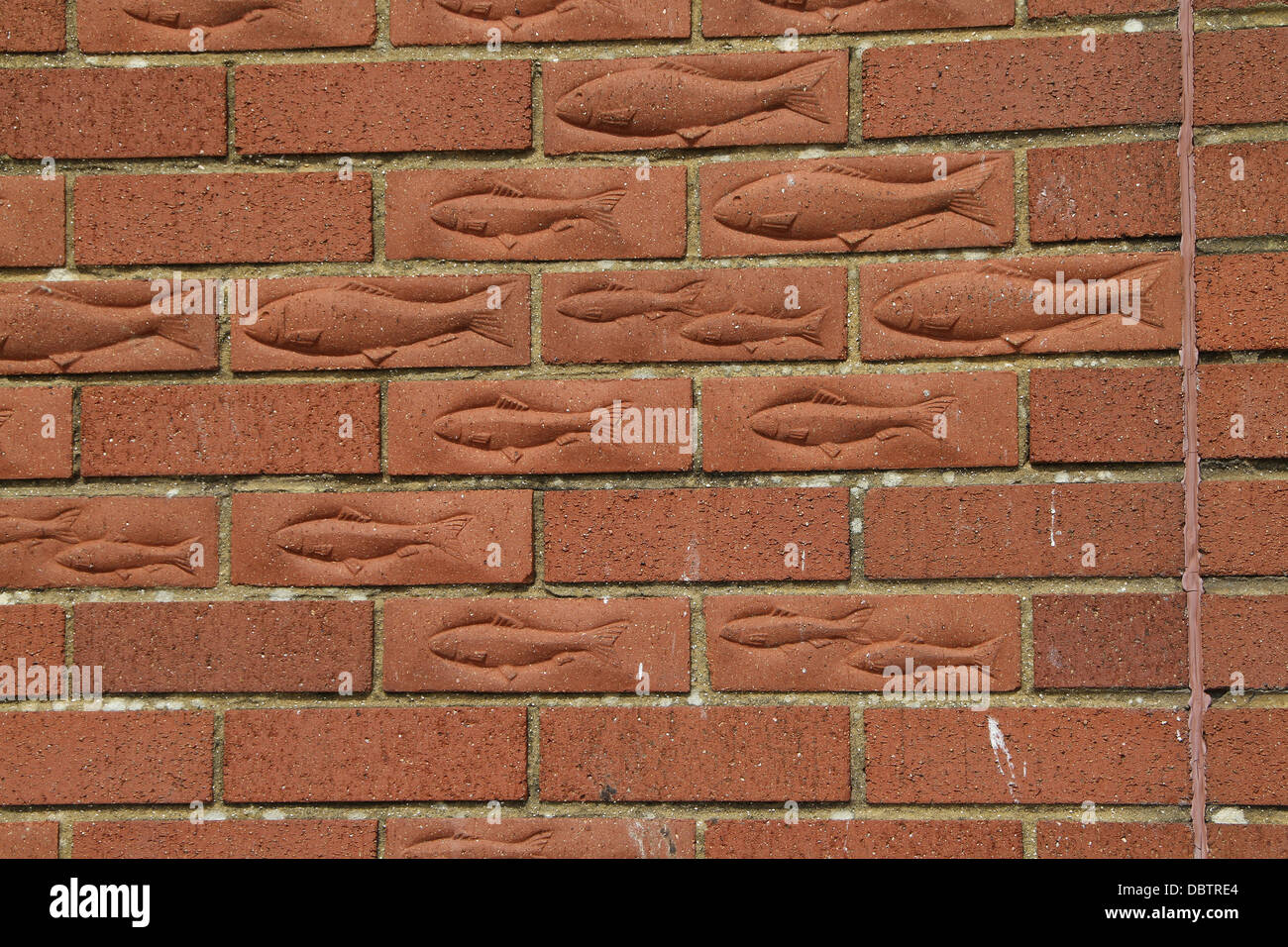 Fish Wall Design High Resolution Stock Photography and Images - Alamy