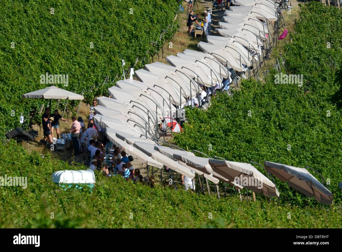 Guests of the Steinberg Round Table sit at more than 200 tables at the ...