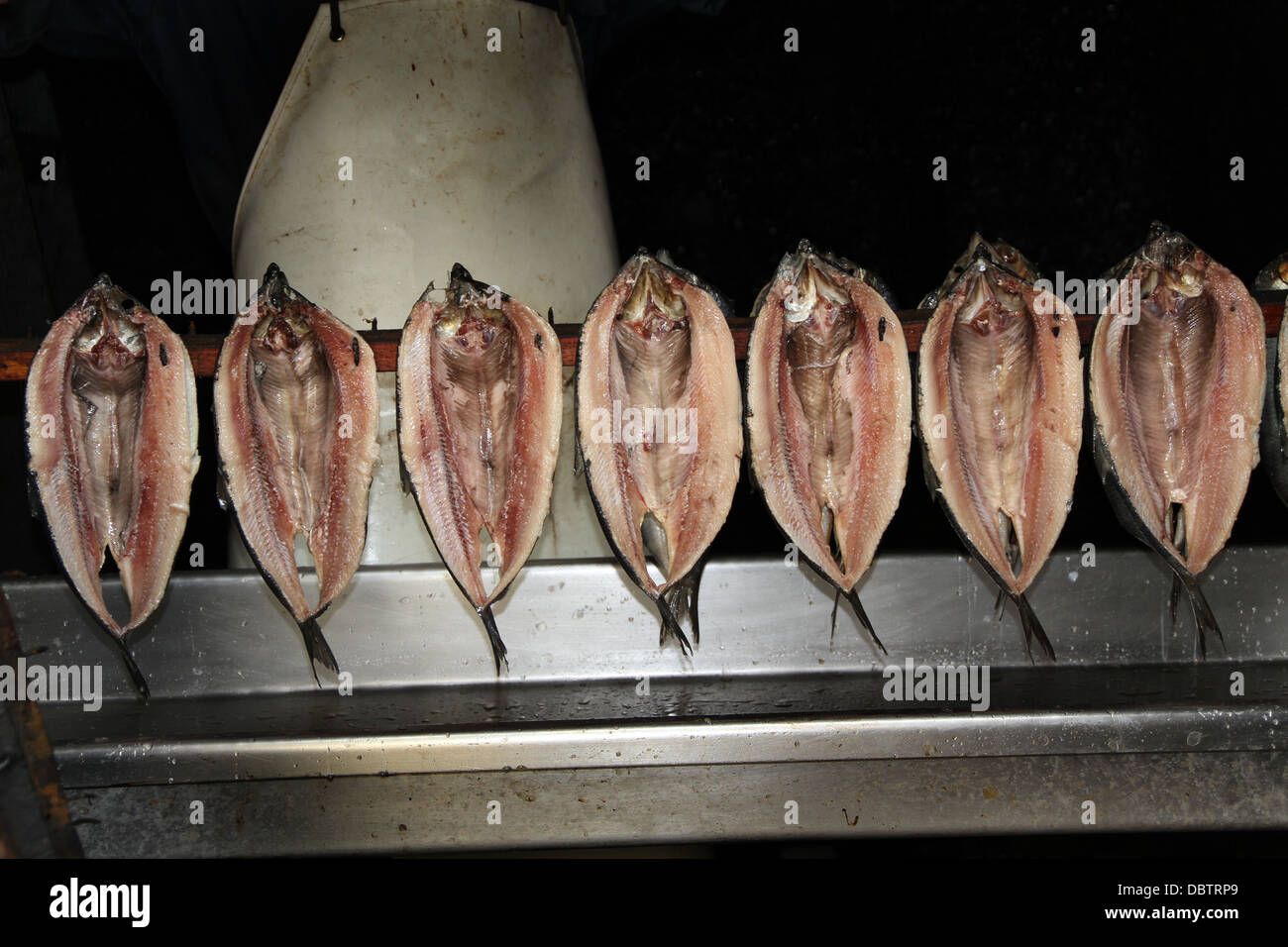 Prepared fish being loaded into smoking room for processing Stock Photo ...