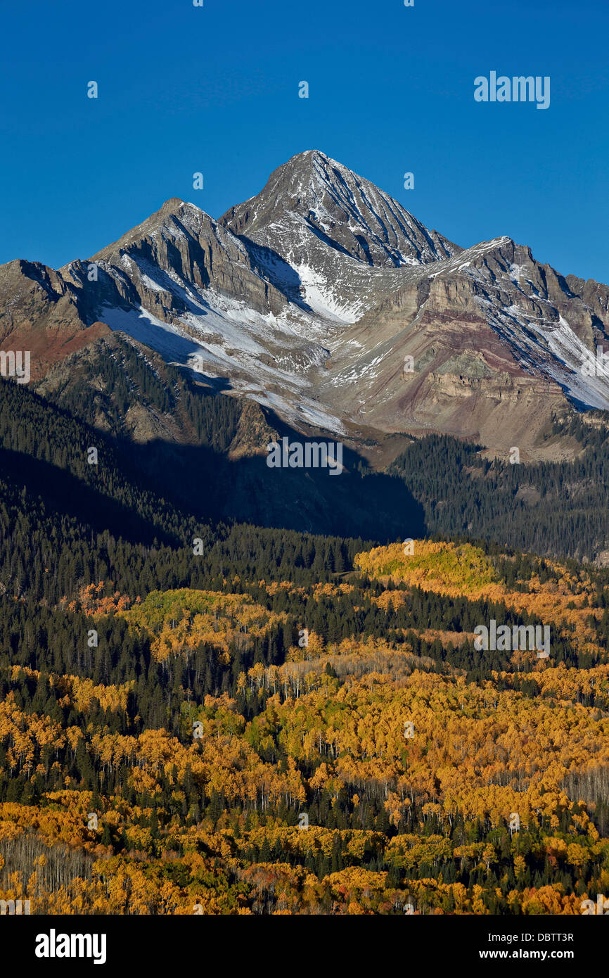 Colour in forest hi-res stock photography and images - Alamy