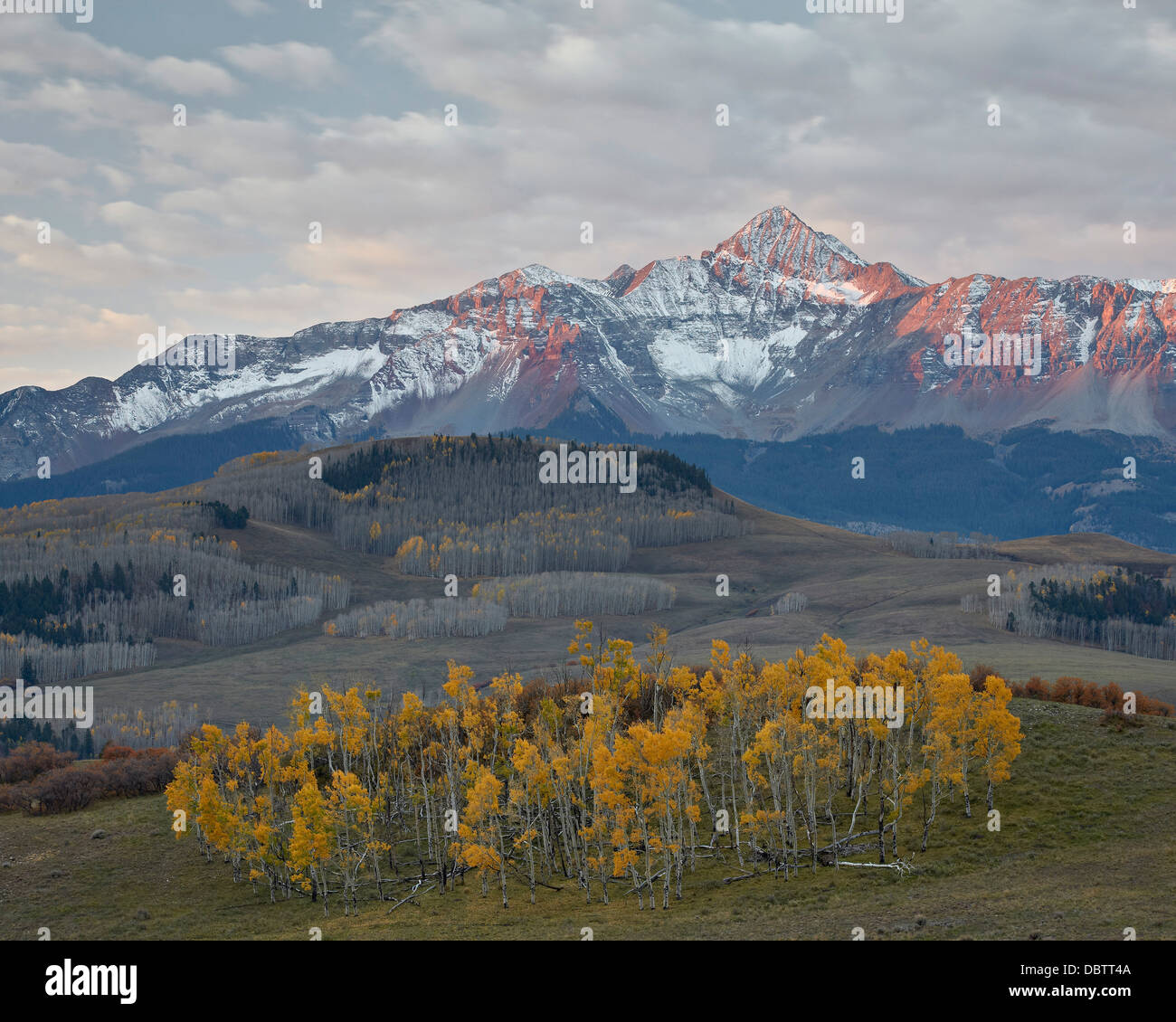 Fall in snow hi-res stock photography and images - Alamy