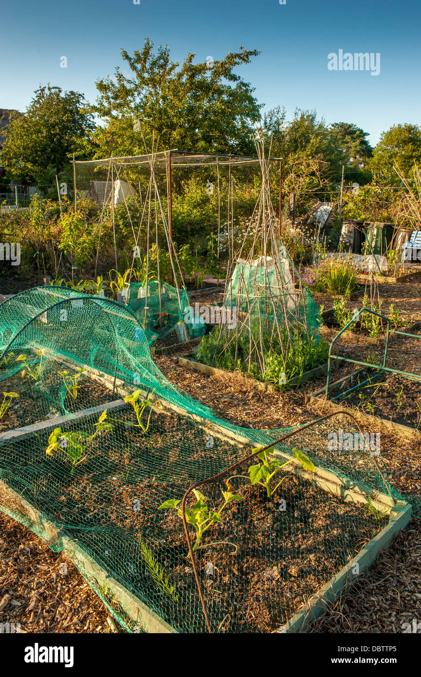 Netted beds hi-res stock photography and images - Alamy