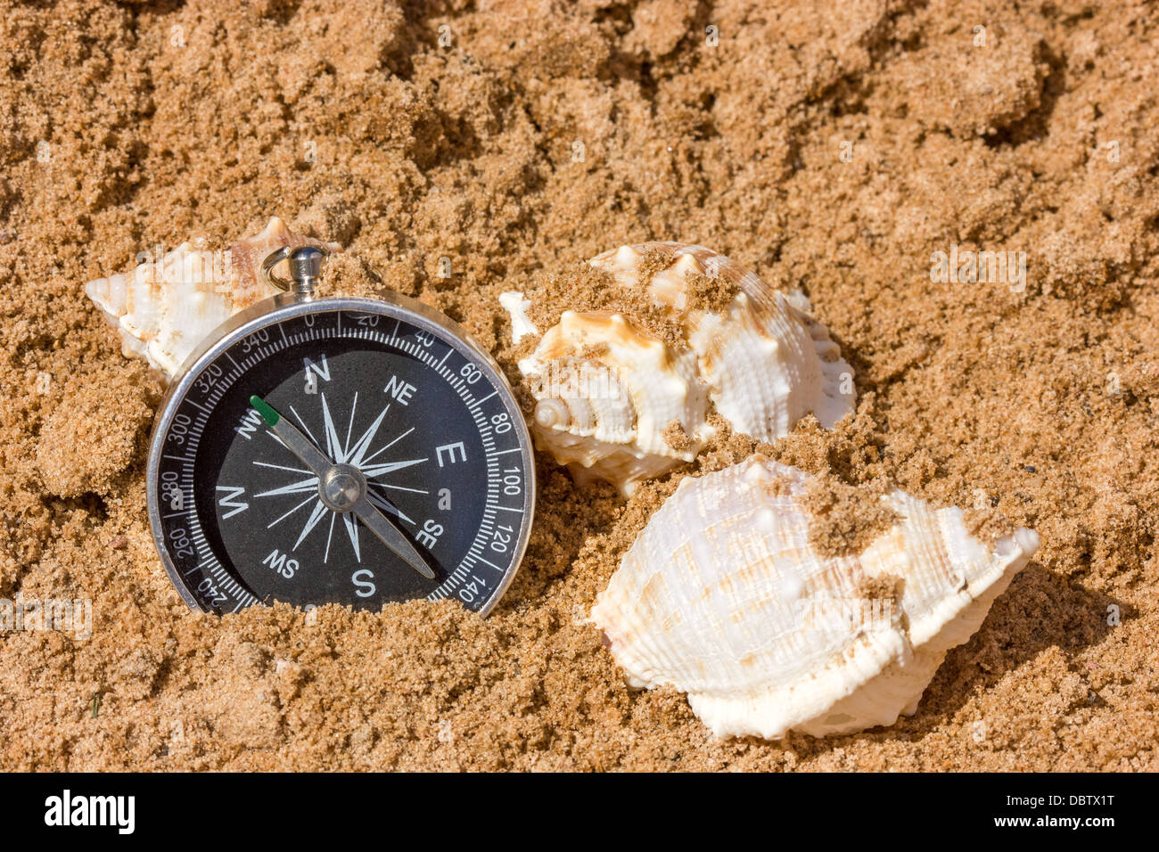 Compass and seashells in the beach sand Stock Photo - Alamy