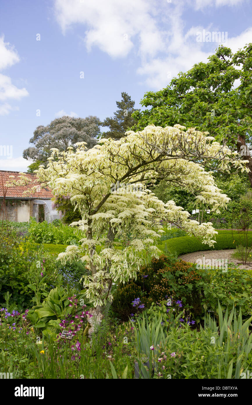 Country garden hi-res stock photography and images - Alamy