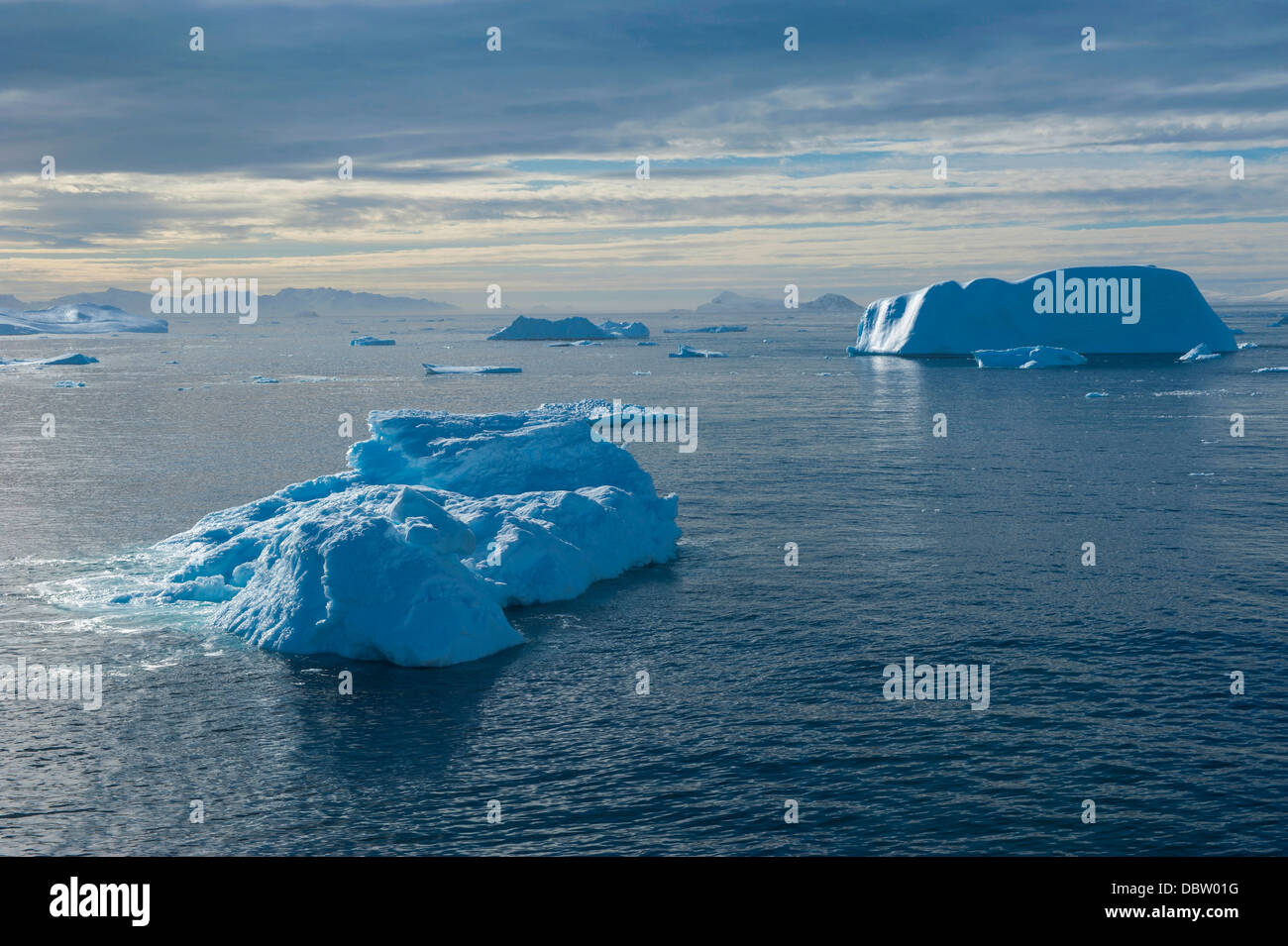 Huge icebergs in Cierva Cove, Antarctica, Polar Regions Stock Photo - Alamy