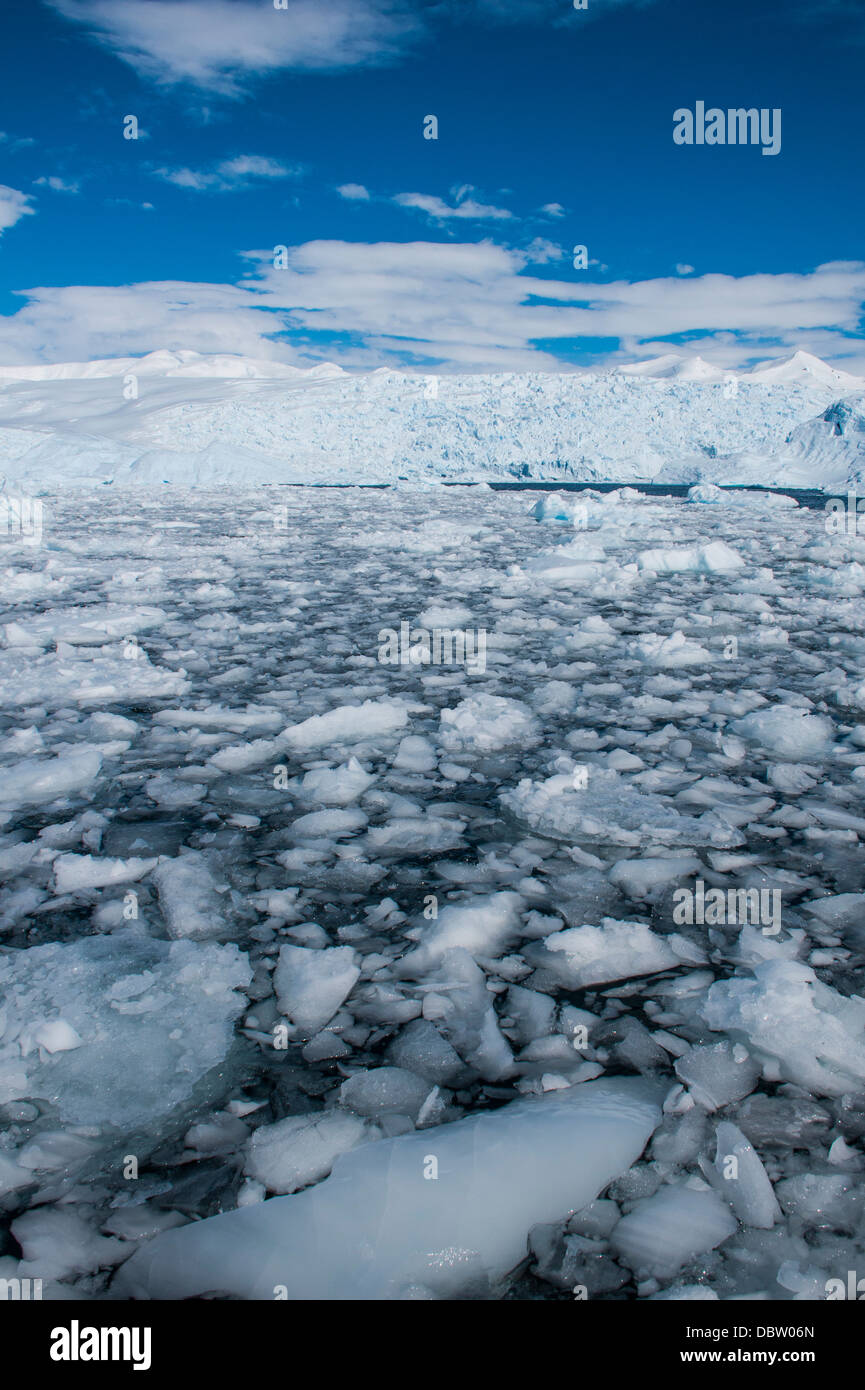 Glacier and icebergs in Cierva Cove, Antarctica, Polar Regions Stock ...