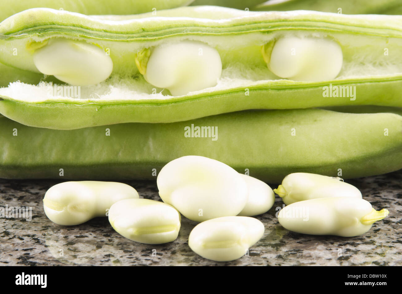 organic broad beans fresh from the garden Stock Photo - Alamy