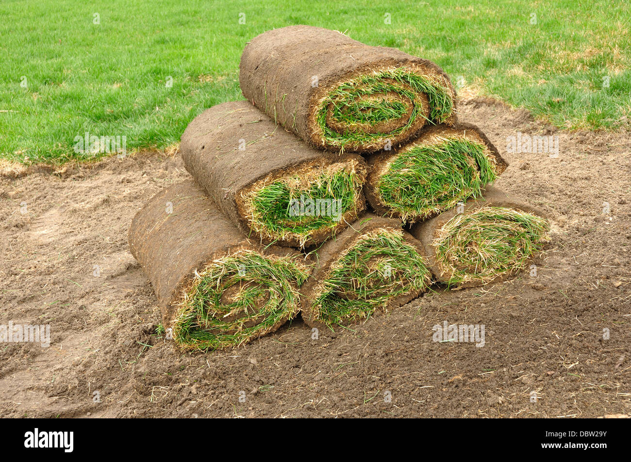 Grass turf roll hi-res stock photography and images - Alamy