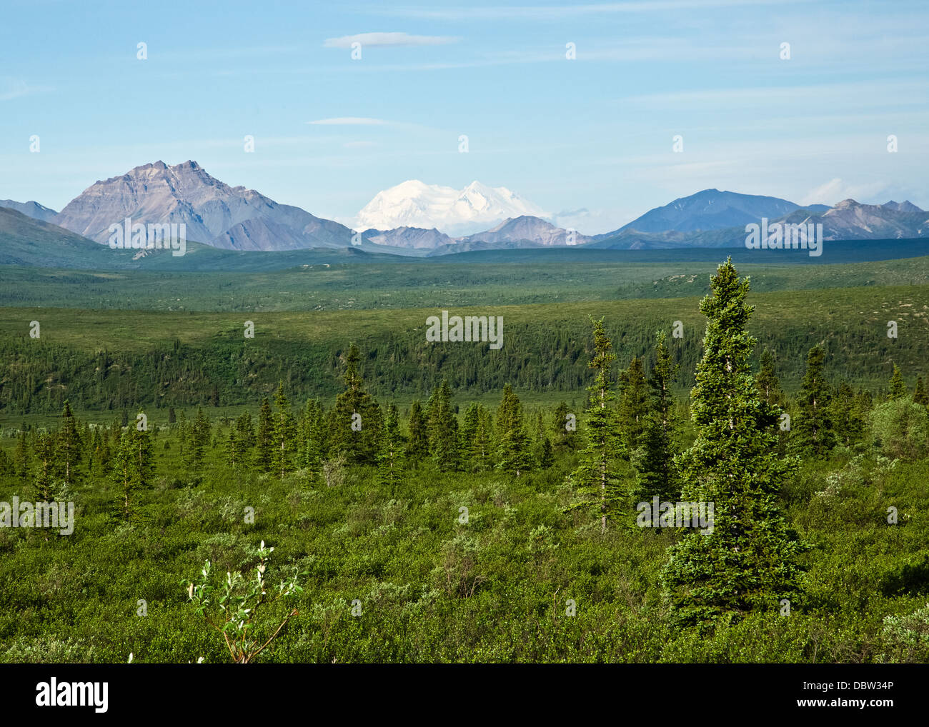 Alaska's Mount McKinley (Denali Stock Photo - Alamy
