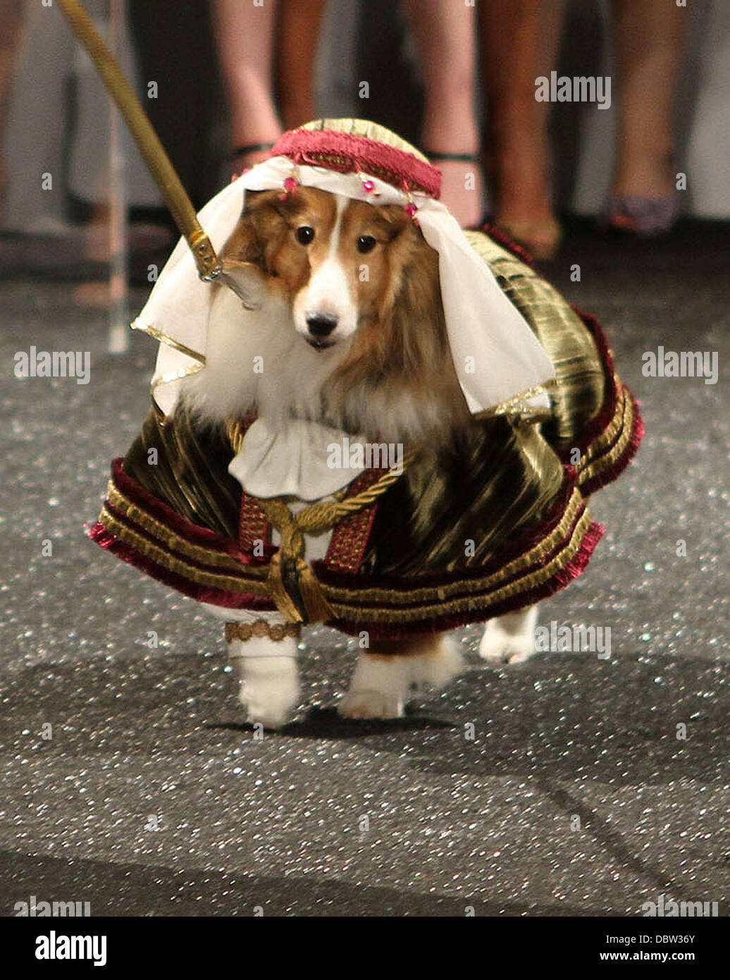 Show Atmosphere The Pacific Design Center's 2nd Annual "Patterns for ...