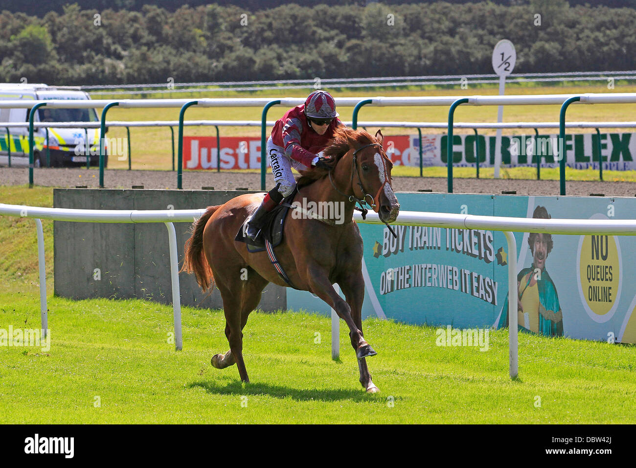 Kieren Fallon rides his 100th winner of the season on Lady Blink at ...