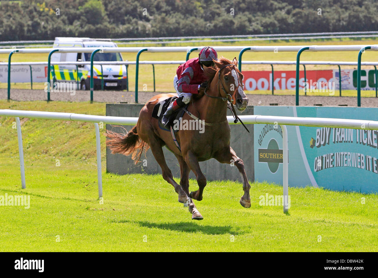 Kieren Fallon rides his 100th winner of the season on Lady Blink at ...