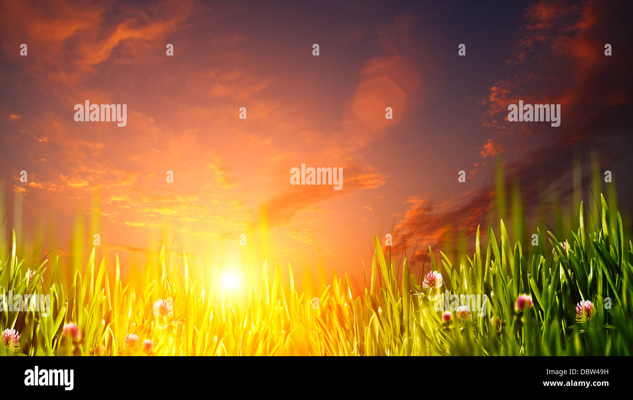 Beauty summer sunset, abstract natural backgrounds Stock Photo - Alamy