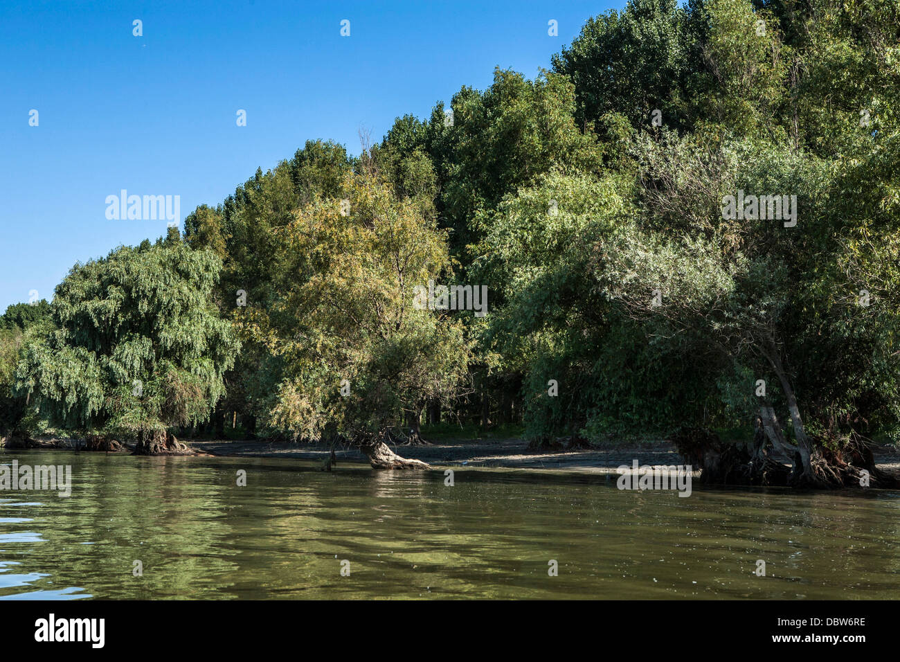 Danube river Delta, beautiful landscape, Romania, Dobrogea, UNESCO ...