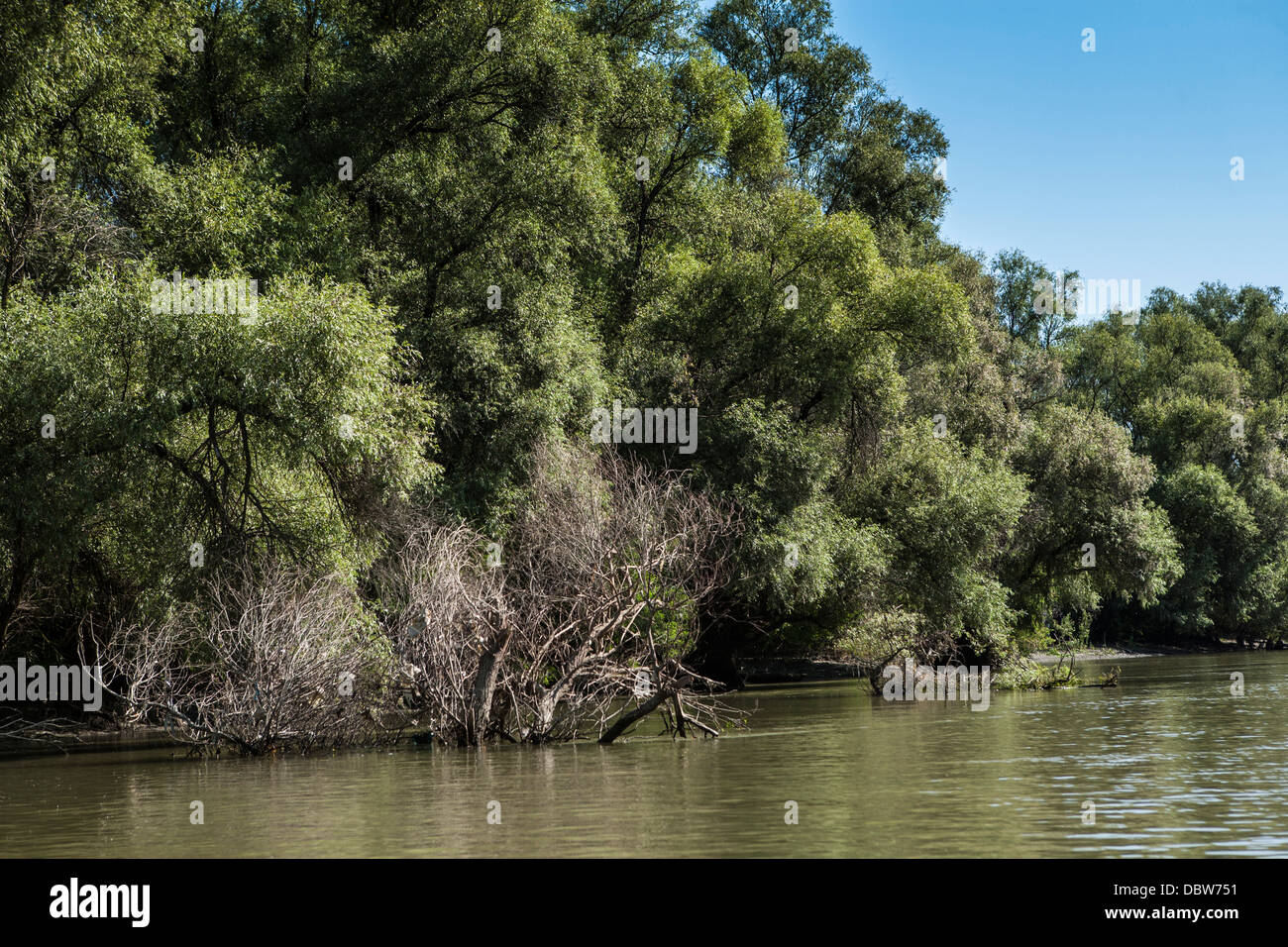 Danube river Delta, beautiful landscape, Romania, Dobrogea, UNESCO ...
