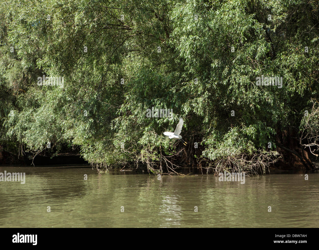 Danube river Delta, beautiful landscape, Romania, Dobrogea, UNESCO ...