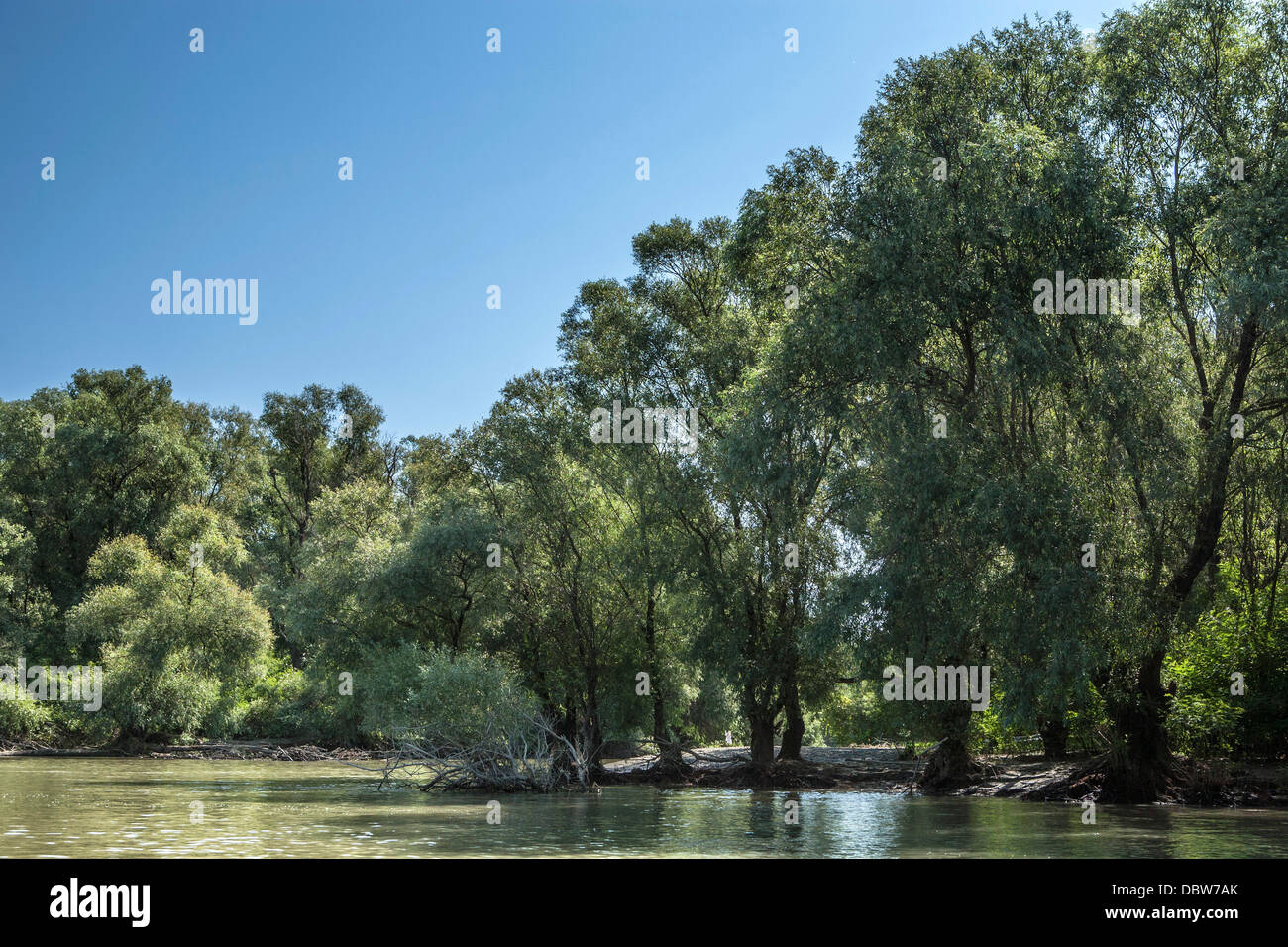 Danube river Delta, beautiful landscape, Romania, Dobrogea, UNESCO ...