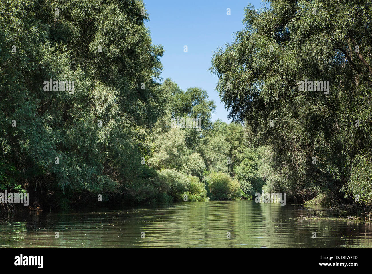 Danube river Delta, beautiful landscape, Romania, Dobrogea, UNESCO ...