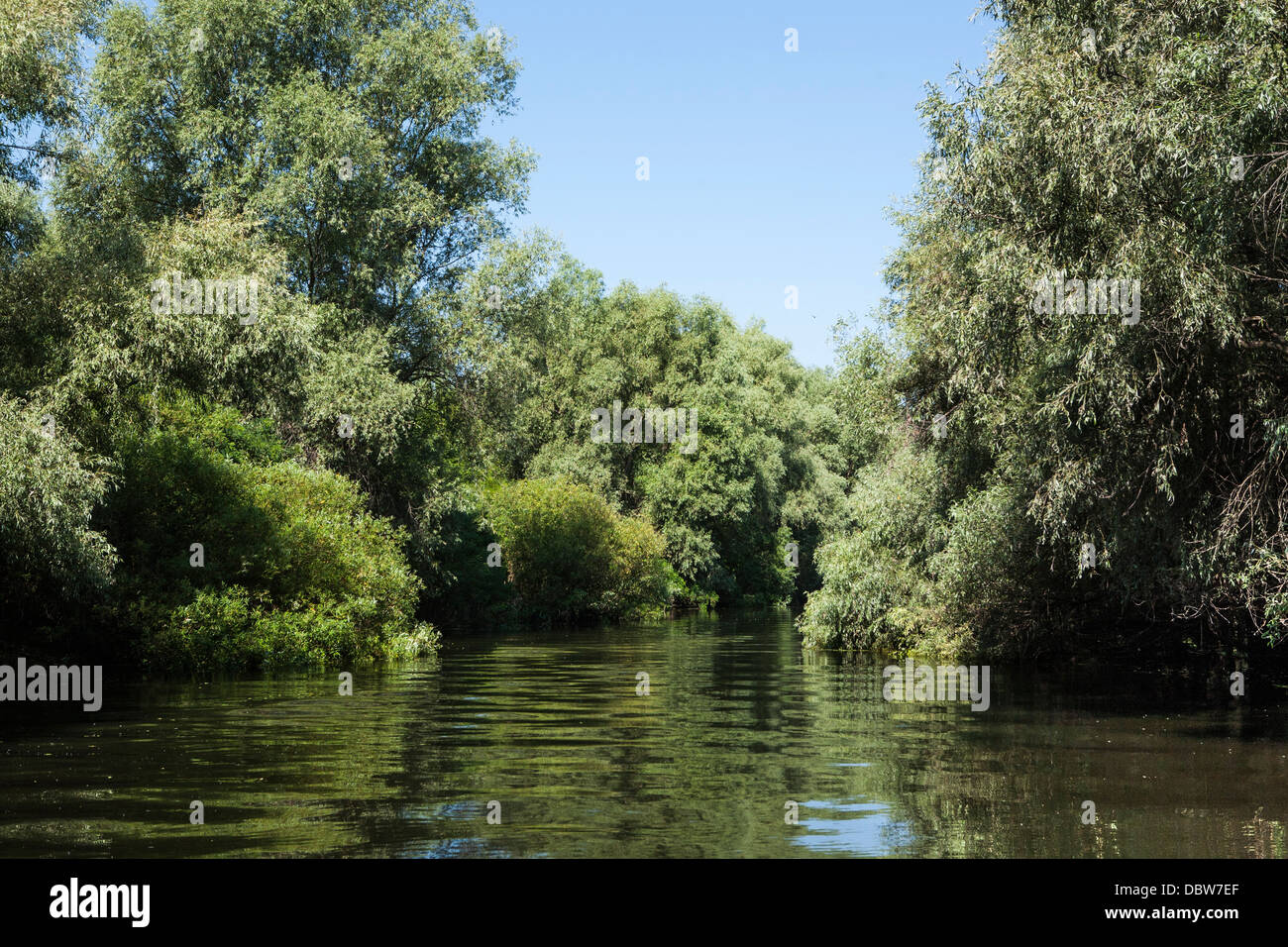 Danube river Delta, beautiful landscape, Romania, Dobrogea, UNESCO ...
