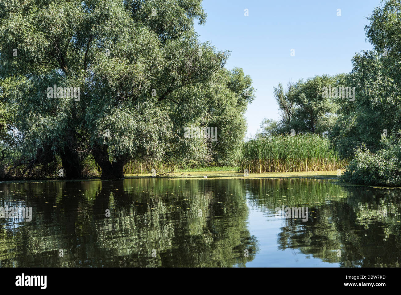 Danube river Delta, beautiful landscape, Romania, Dobrogea, UNESCO ...