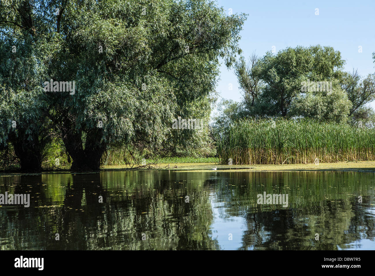 Danube river Delta, beautiful landscape, Romania, Dobrogea, UNESCO ...