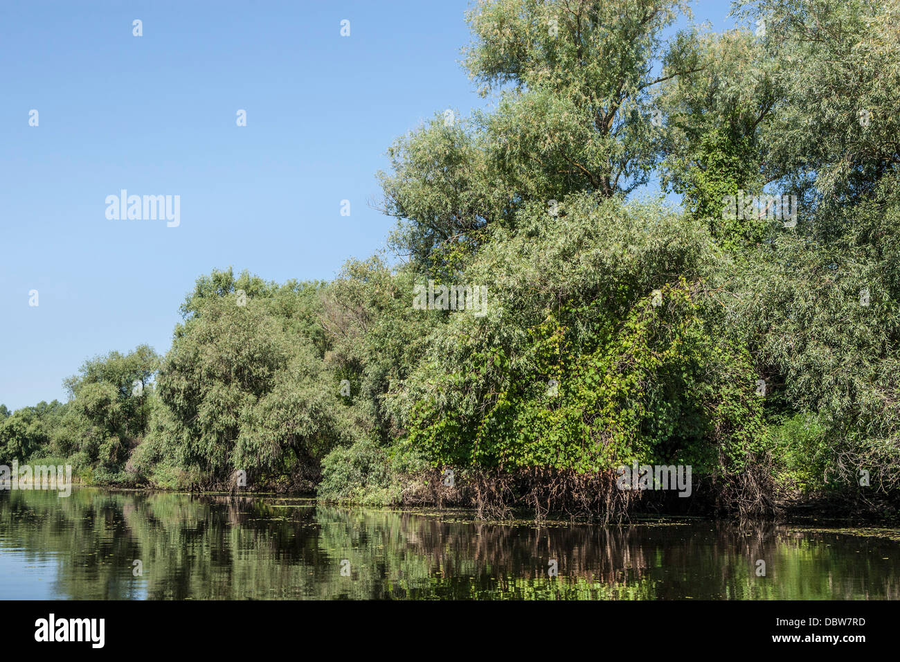 Danube river Delta, beautiful landscape, Romania, Dobrogea, UNESCO ...