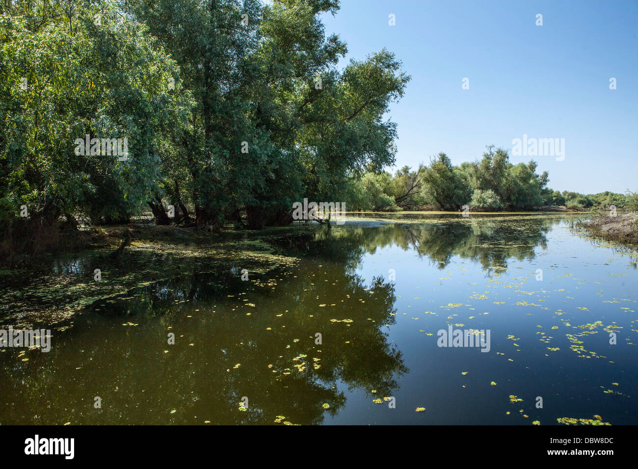 Danube river Delta, beautiful landscape, Romania, Dobrogea, UNESCO ...