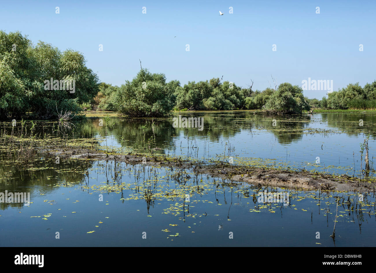 Danube river Delta, beautiful landscape, Romania, Dobrogea, UNESCO ...