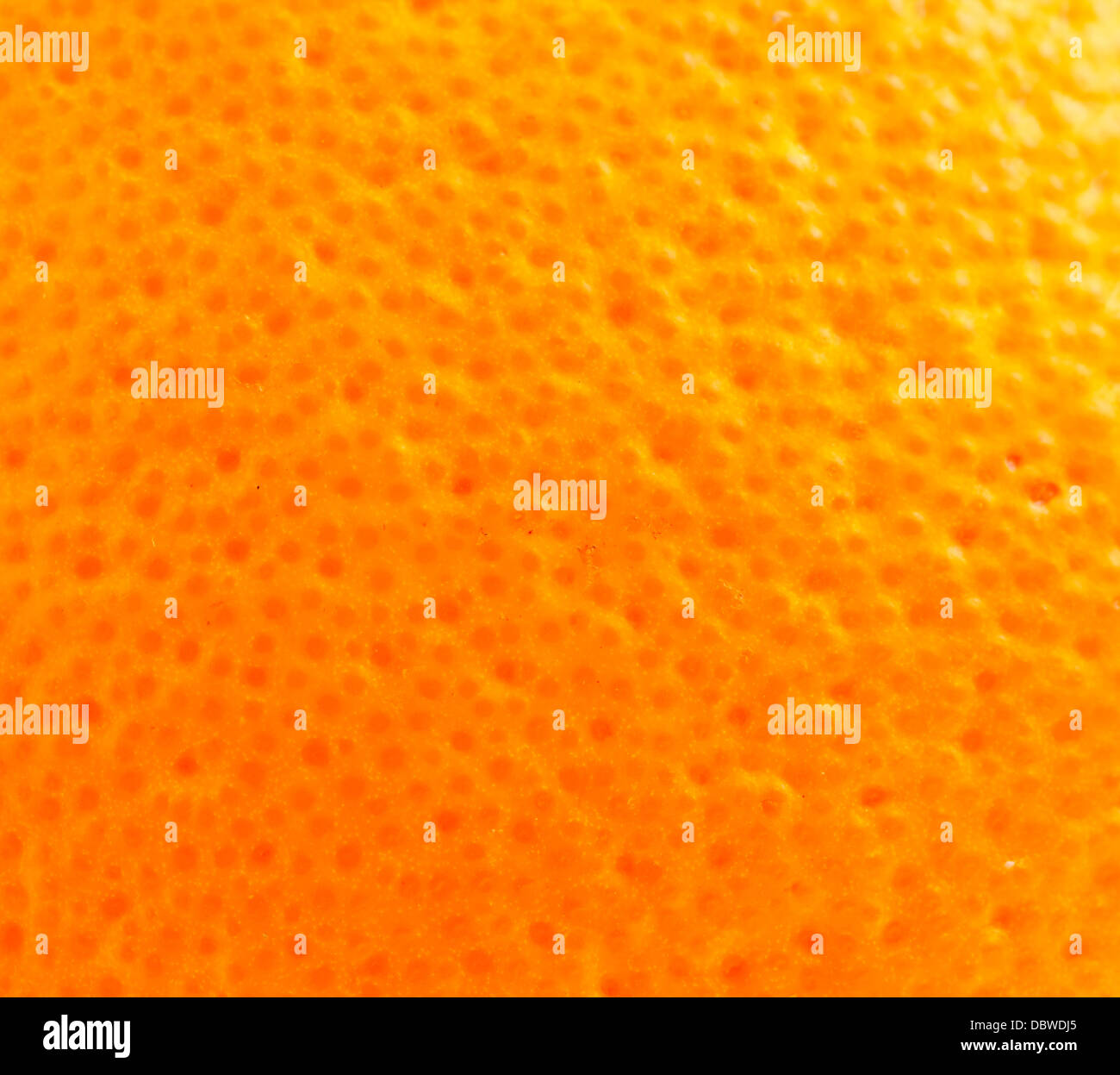 Orange skin up close fruit hi-res stock photography and images - Alamy