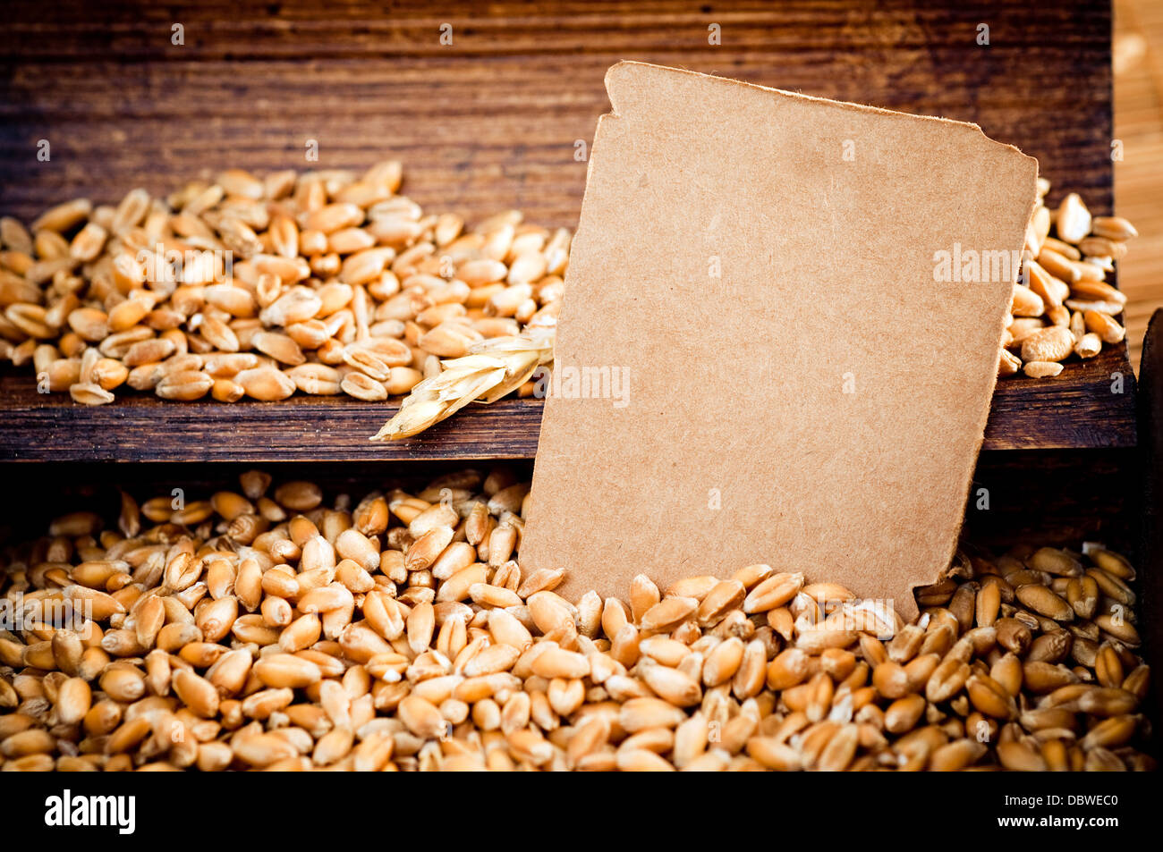 Wheat grains with piece of blank paper Stock Photo - Alamy