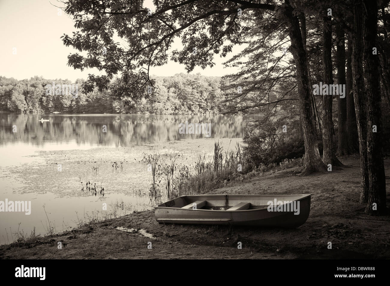 Hampshire pond hi-res stock photography and images - Alamy
