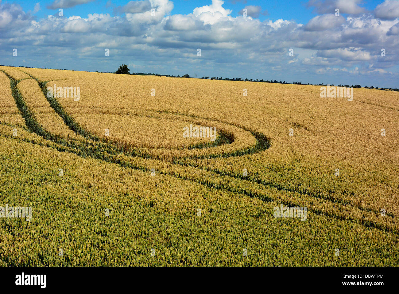 Spraying wheat fields farming england spray hi-res stock photography ...