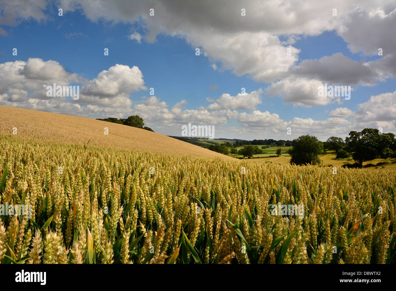 Rutland photographer hi-res stock photography and images - Alamy