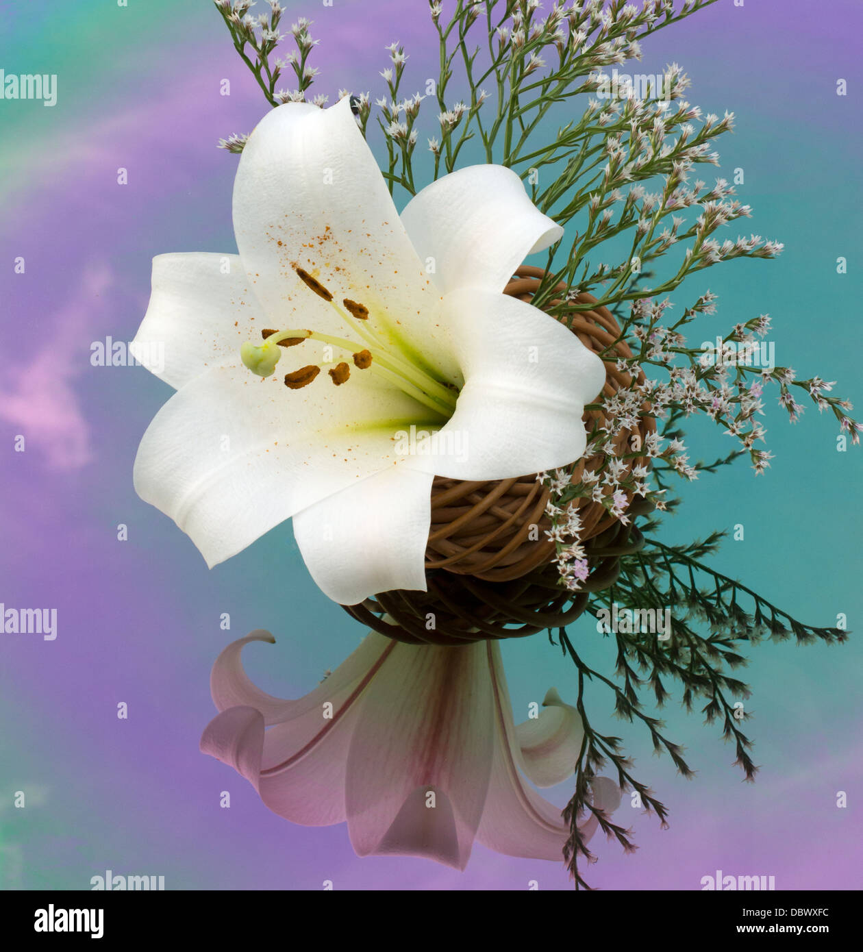 Flowers reflected in mirror hi-res stock photography and images - Alamy