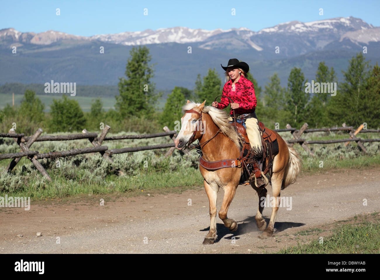 pretty cowgirl on horseback in Montana ranch Stock Photo - Alamy