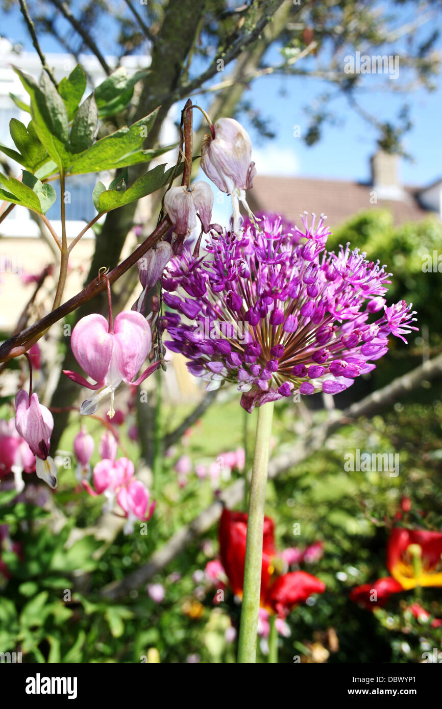 Portrait shot of a pretty garden scene Stock Photo - Alamy