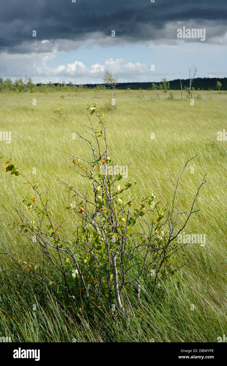 Under the sky hi-res stock photography and images - Alamy