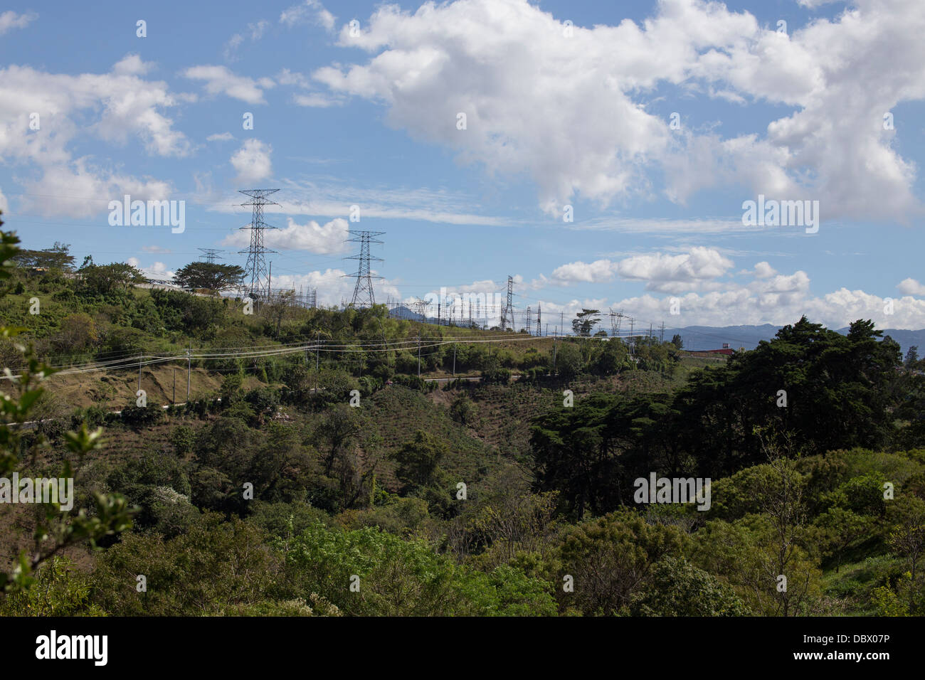 Image overlooking coffee plantations and some power lines on a hill in ...