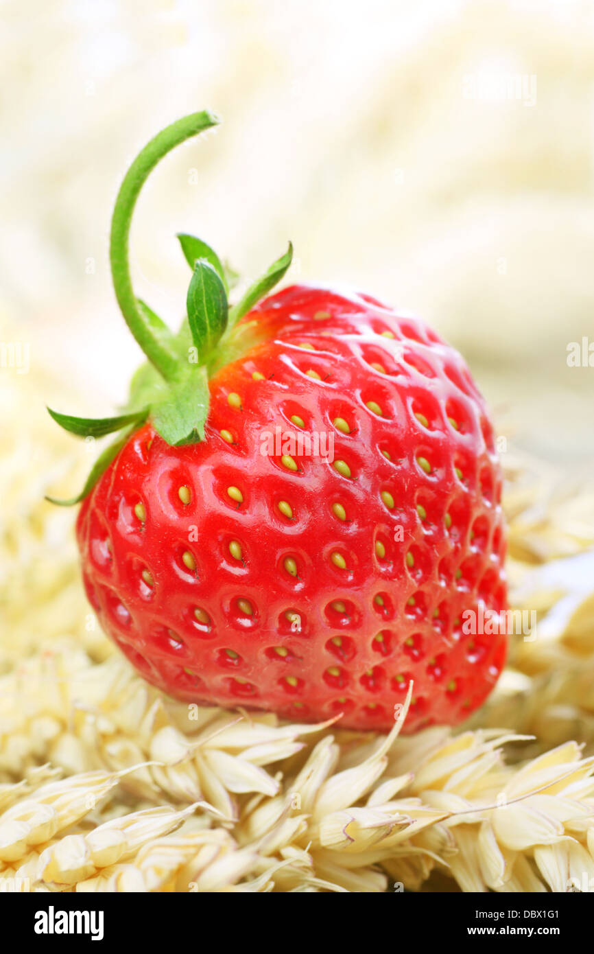 Strawberry stalk hi-res stock photography and images - Alamy
