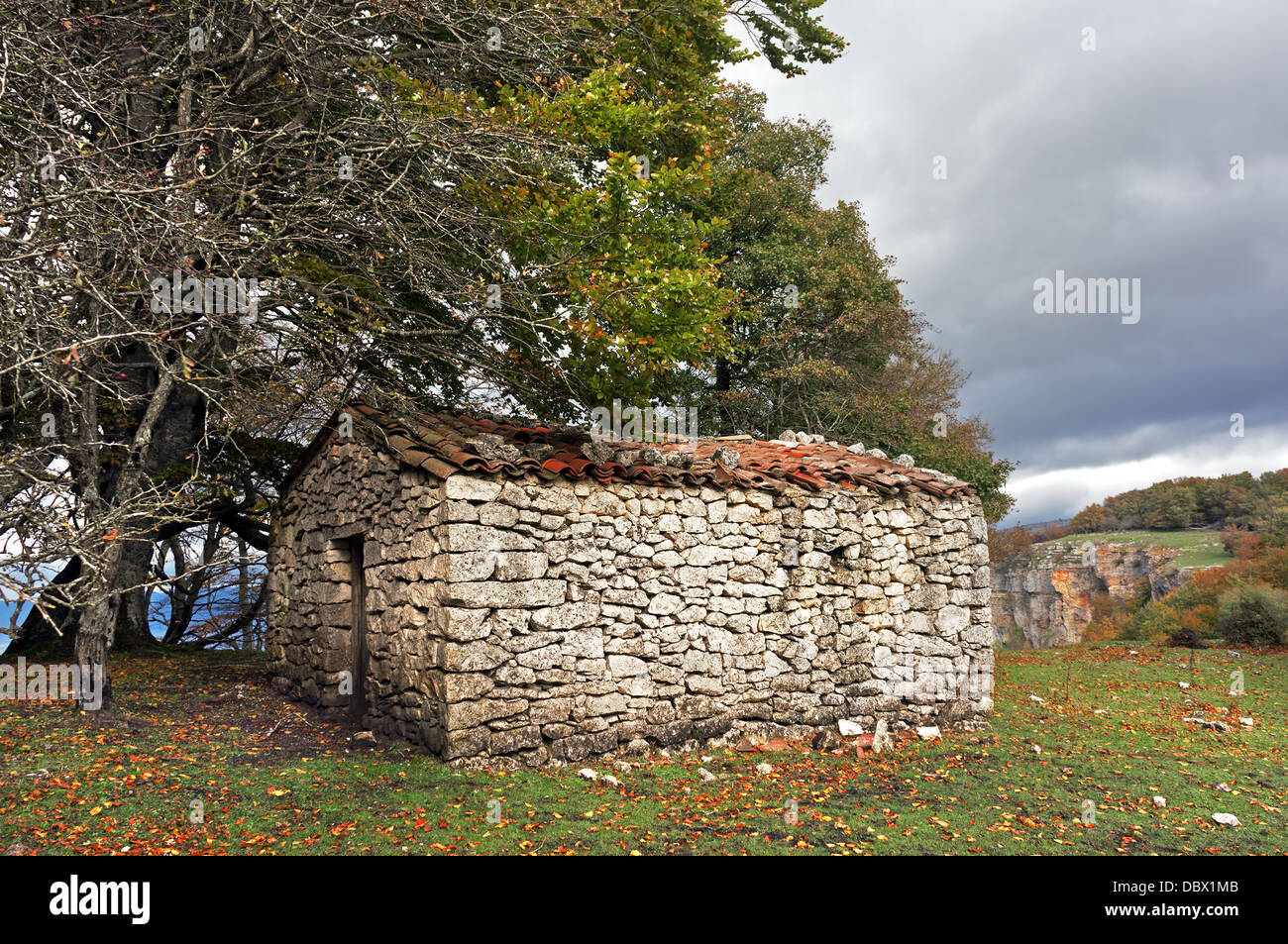 stone cabin in mountain near a forest Stock Photo - Alamy