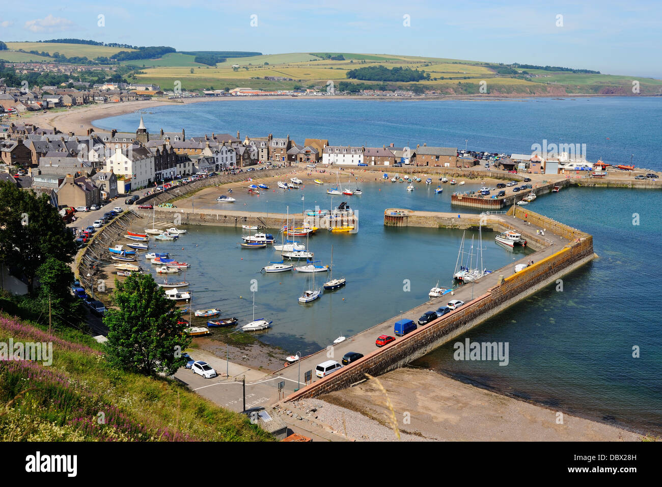 View across Stonehaven harbour, Aberdeenshire, Scotland Stock Photo - Alamy