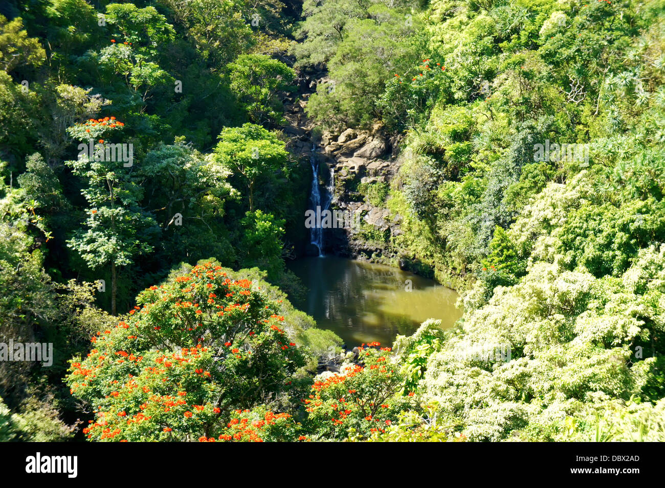 Island Maui waterfall with lake and jangles Stock Photo - Alamy