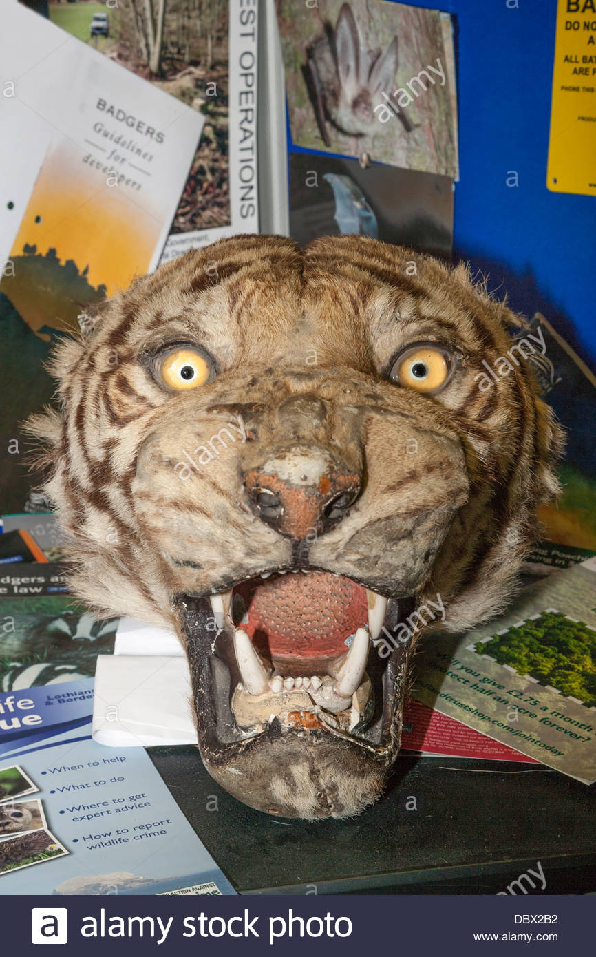 Wildlife Officer High Resolution Stock Photography and Images - Alamy