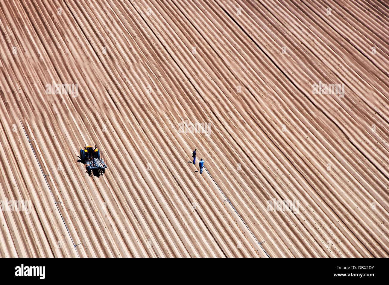 Two brown lines hi-res stock photography and images - Alamy