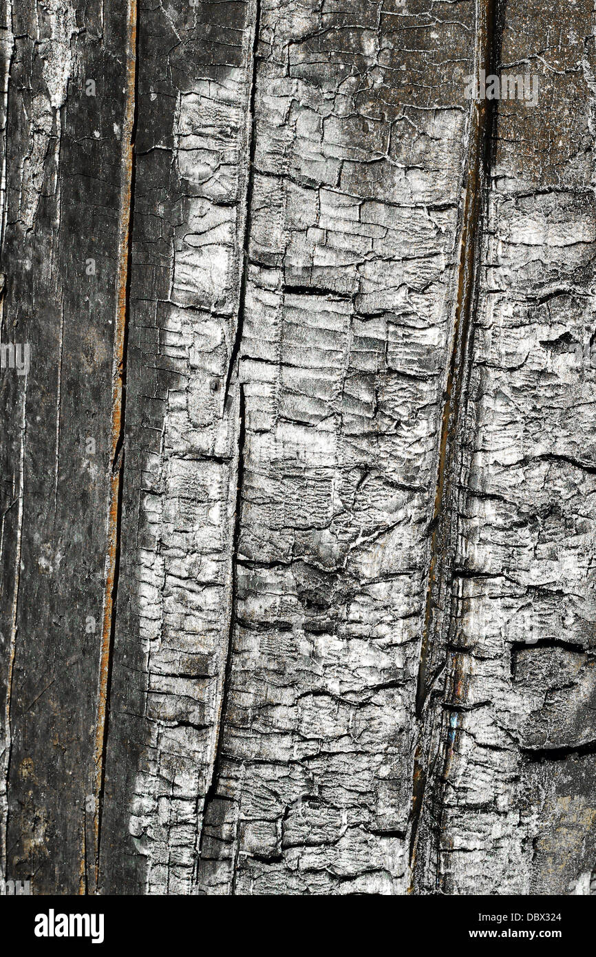 Close up of burnt wood bark Stock Photo - Alamy